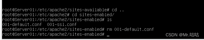 Debian使用Apache2搭建https网站_apache2搭建网站-CSDN博客