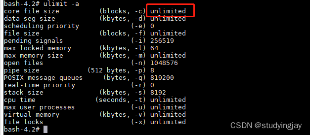 docker容器core文件占用空间太大and同步容器本机时间_docker core文件-CSDN博客