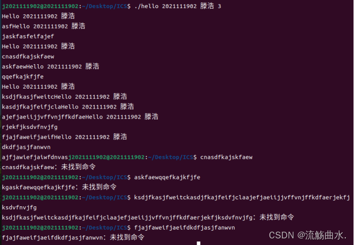 CSAPP大作业——程序人生_csapp ping.c-CSDN博客