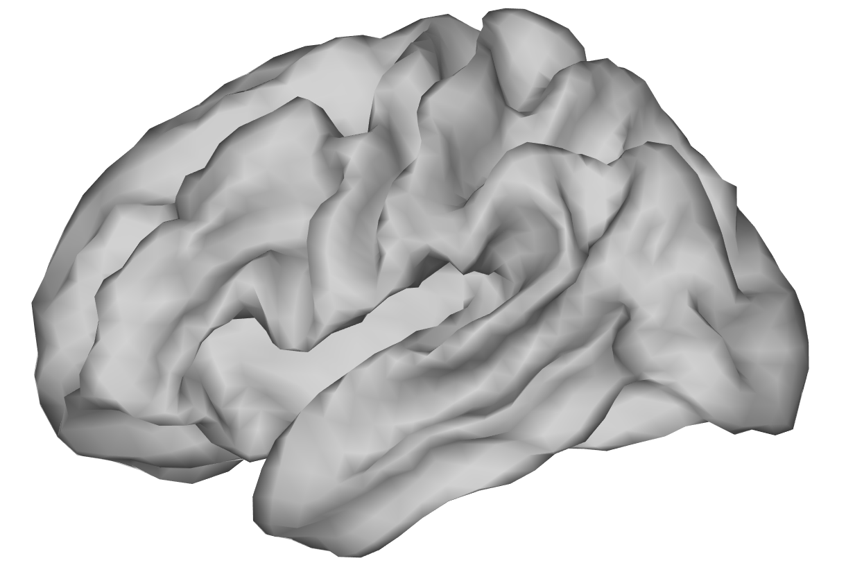 皮层地图3-7_fsaverage5-CSDN博客