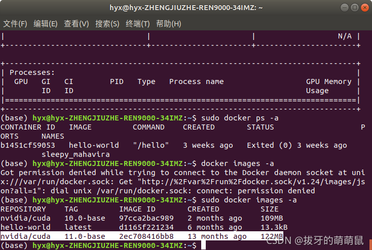 Nvidia Docker安装教程 Csdn博客
