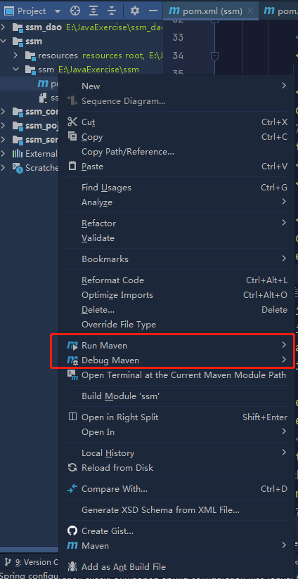 idea 项目右键没有 run maven 选项_idea没有run maven选项-CSDN博客