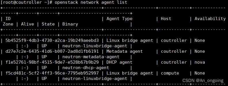 openstack集群搭建_openstack集群部署-CSDN博客
