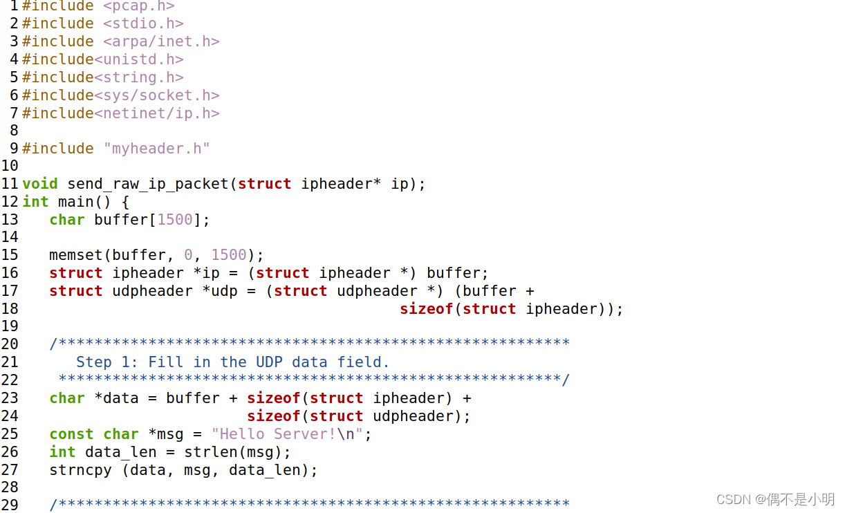 Lab1 Packet Sniffing and Spoofing Lab-CSDN博客