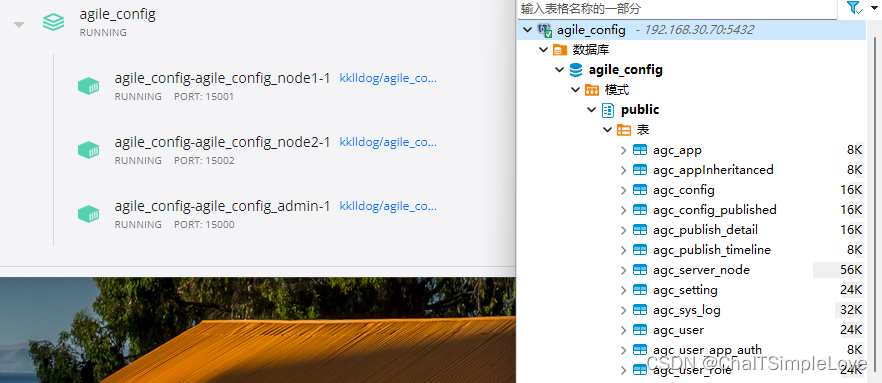 基于.net core 开发的轻量级配置中心 - AgileConfig-CSDN博客