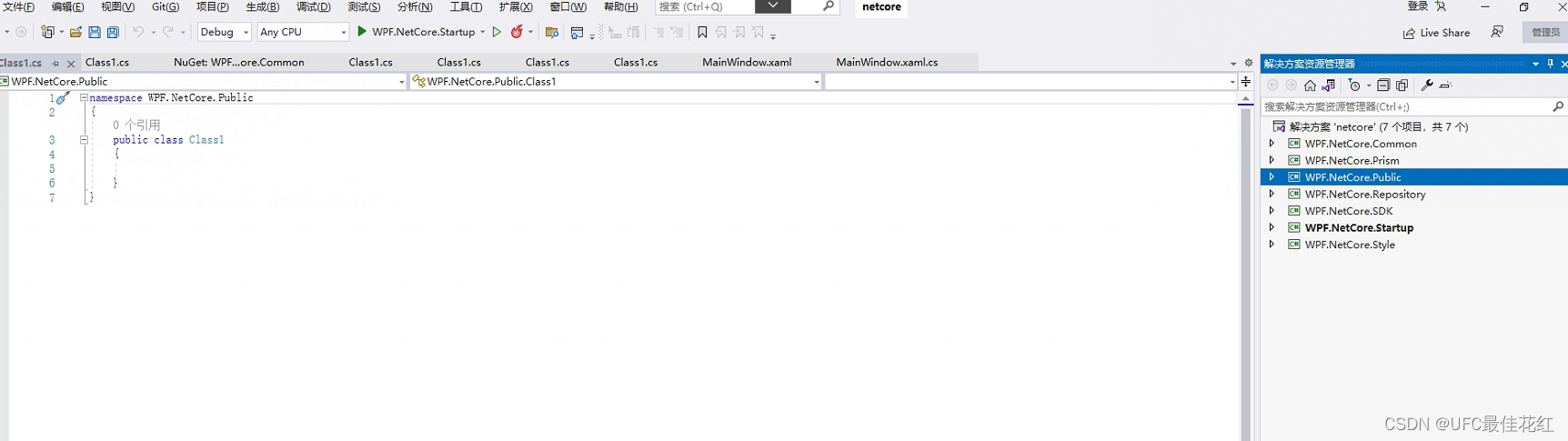 【WPF嵌套vue3】3.创建wpf项目,并引入各类公共库_vue封装组件 wpf使用-CSDN博客