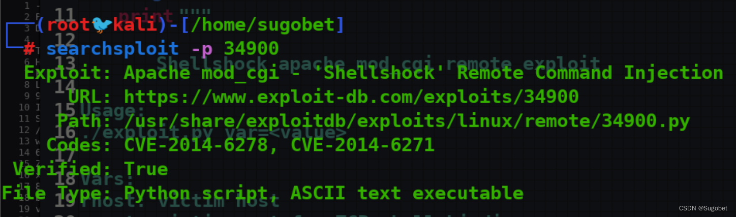 TryHackMe-0day（boot2root）_【tryhackme】0day-CSDN博客