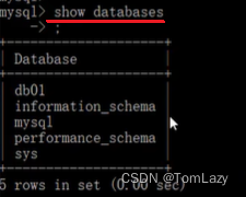 【Java Web】006 -- MySQL（DDL & DML）_系统配置表数据库设计-CSDN博客