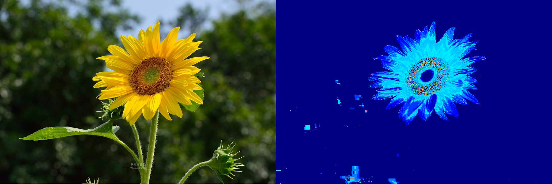 OpenCV 学习笔记（mean shift 算法）_meanshift opencv-CSDN博客