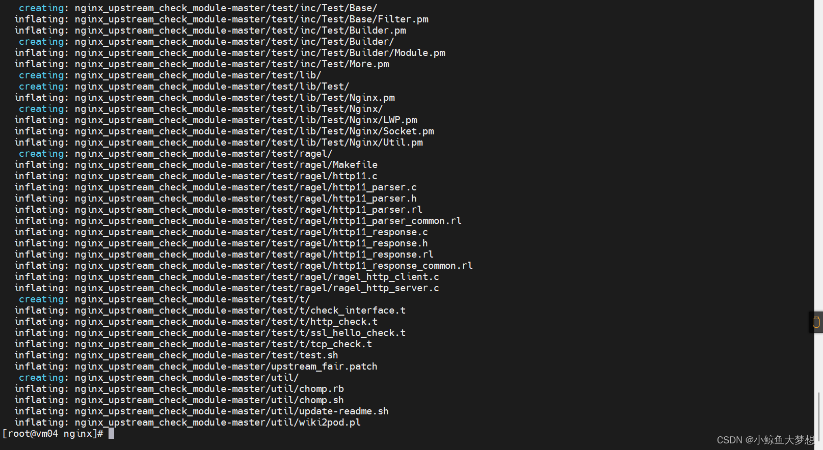 Nginx 第三方健康检测模块的使用nginx Check模块 Csdn博客 