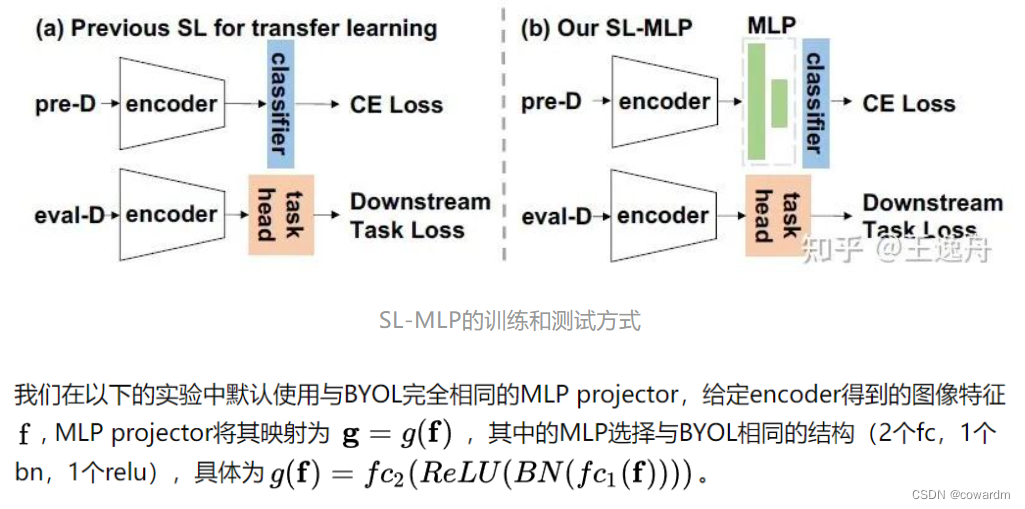 Revisiting the Transferability of Supervised Pretraining: an MLP Perspective-CSDN博客