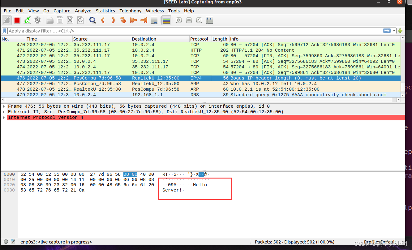 Lab1 Packet Sniffing and Spoofing Lab-CSDN博客