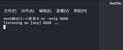 Docker API 未授权访问 getshell——漏洞复现_docker remote apl未授权访问漏洞修复-CSDN博客