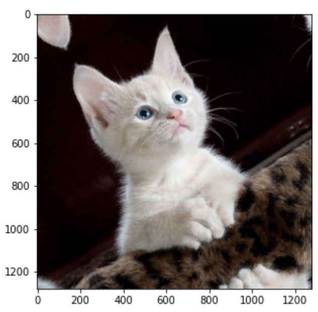 albumentations.HorizontalFlip、Rotate、RandomBrightnessContrast ...