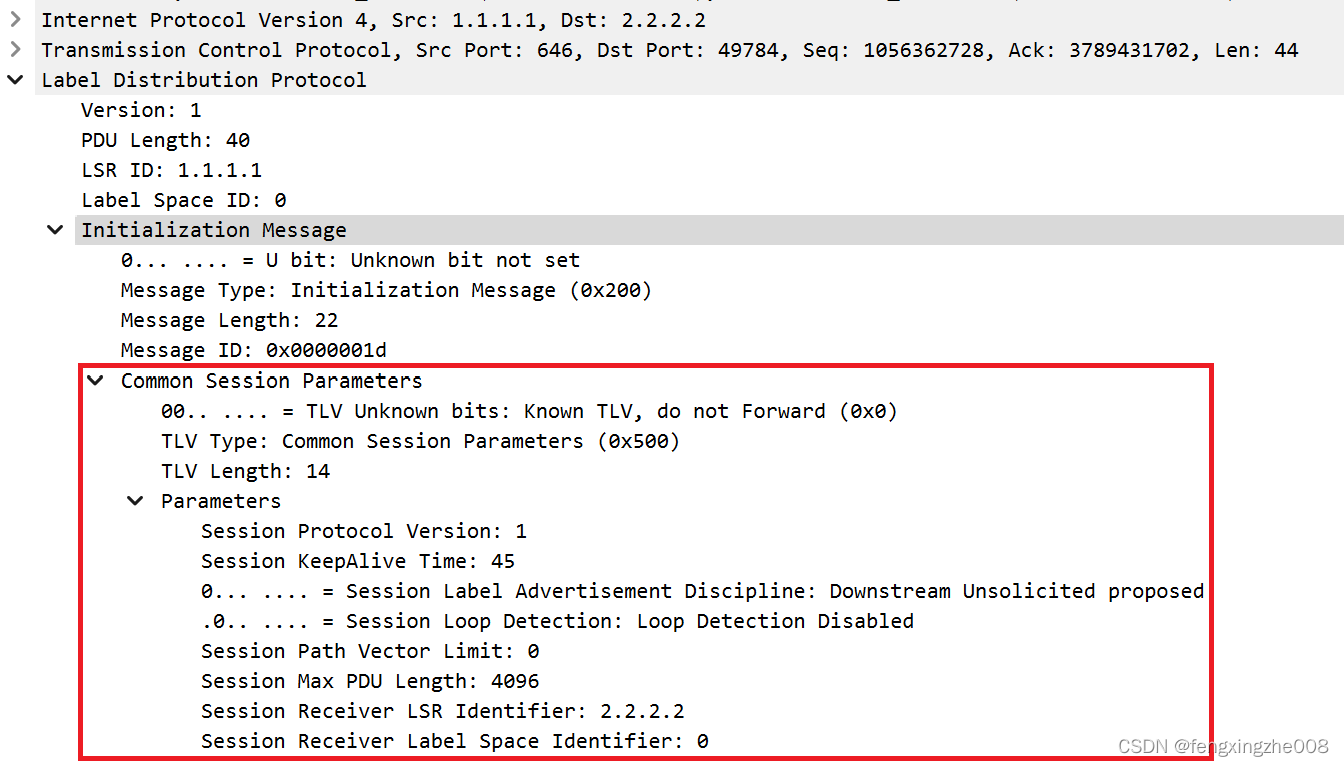 MPLS/LDP原理介绍+报文分析+配置示例_mpls报文格式-CSDN博客