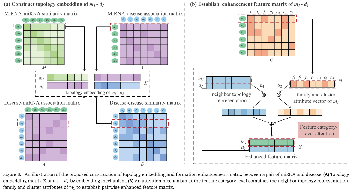 GMDA：结合成对邻域拓扑和 miRNA 家族和聚类属性进行miRNA-疾病关联预测（Briefings in Bioinformatics）_mirna家族分析-CSDN博客