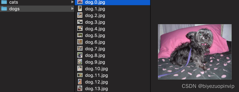 基于python的卷积神经网络的猫狗图像识别系统python卷积神经网络的图像识别技术 Csdn博客