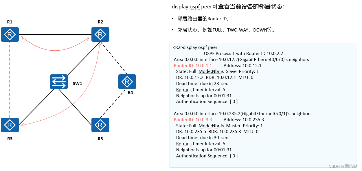 OSPF的基础知识介绍_ospf mtu-enable-CSDN博客