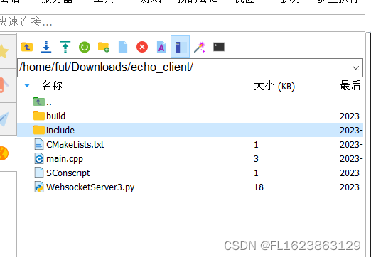 [C++][原创]websocketcpp编译demo之echo_client正确方法_c++ websocket demo-CSDN博客