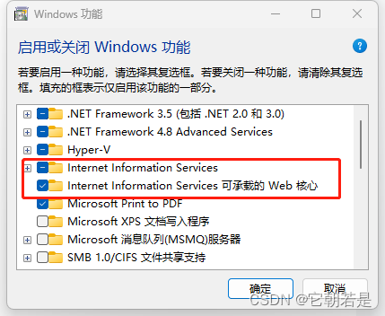 Windows10安装iis_安装iis必须选择哪一个功能-CSDN博客