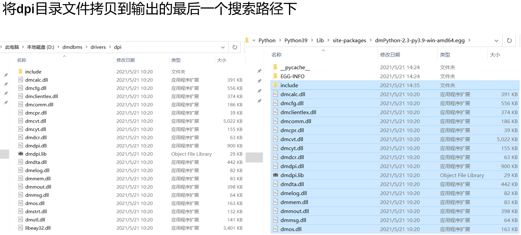 windows下dmPython操作达梦数据库代码示例_windows dm 数据库驱动-CSDN博客