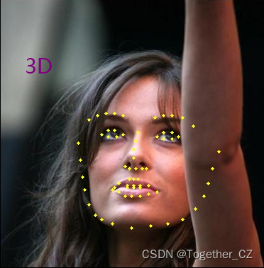 Python基于face-alignment实现2D/3D人脸关键点检测_3dfan4-4a694010b9.zip-CSDN博客