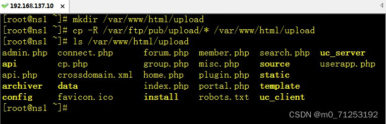 企业网络管理（LAMP网站BBS发布）-CSDN博客