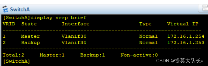 单一VLAN利用VRRP实现负载均衡_基于vlan的vrrp-CSDN博客