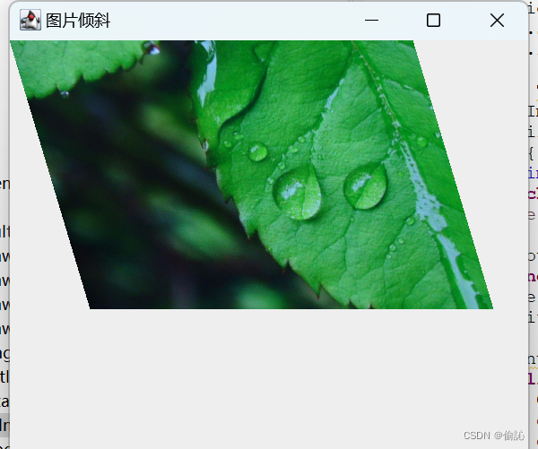 第十九章总结（绘制图片）_java poi graphics2d rotate和shear-CSDN博客