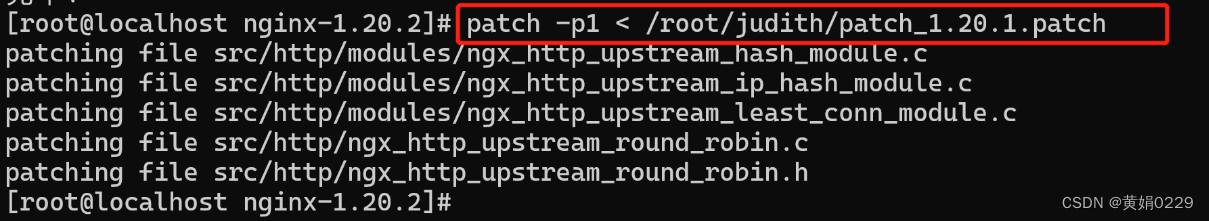 nginx主动健康检查-CSDN博客