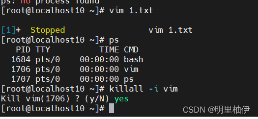 【Linux】进程管理命令（ps， lsof ，kill pkill killall，vmstat）_linux进程管理命令-CSDN博客