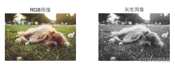 科研笔记第9期——图像类型的转换_不同图像类型之间的转换。实验rgb图像到灰度图像的转换rgb2gray、灰度图像转换为-CSDN博客