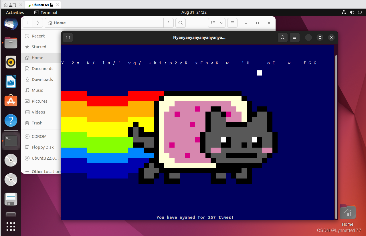 攻防世界RE:CatFly_catfly攻防世界-CSDN博客
