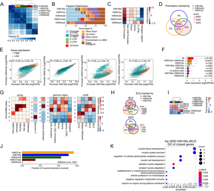 国自然热点 | CUT&Tag解析组蛋白乳酸化H3K18la修饰在小鼠和人组织中的全基因组分布特征-CSDN博客