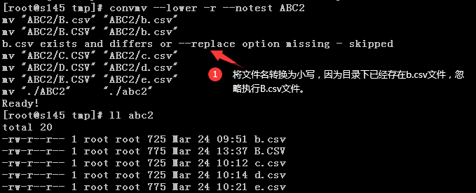 Linux命令之convmv命令_exists and differs or --replace option missing - s-CSDN博客