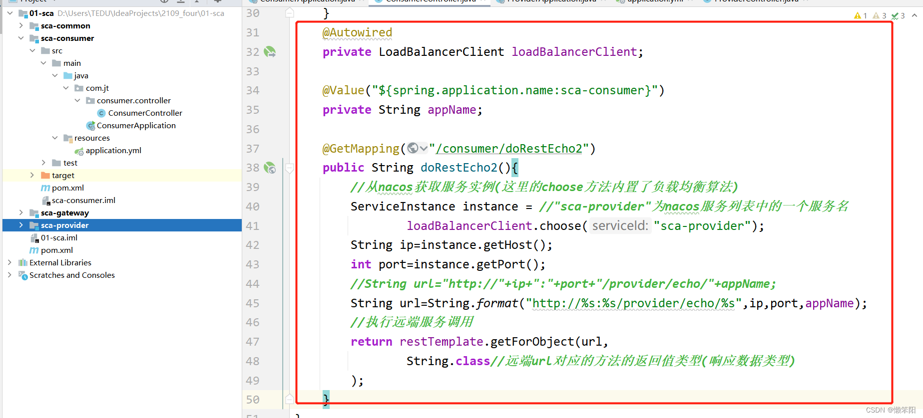 Nacos服务注册中心_nacos config_info_懂Java的懒阳阳的博客-CSDN博客
