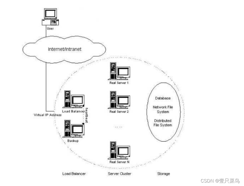 CHAPTER 6 LB集群部署 - LVS-CSDN博客