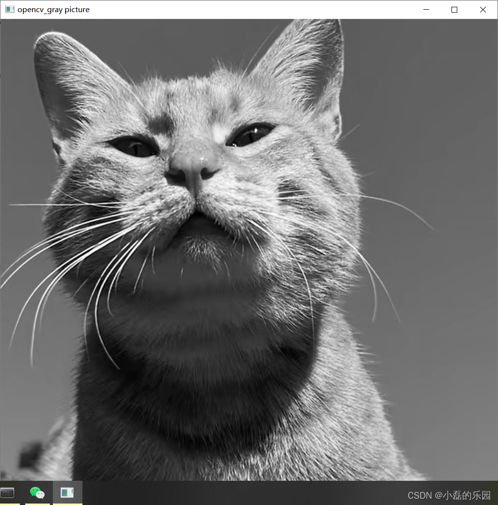数字图像灰度化的几种实现方式sixlaborsimagesharp 灰度 Csdn博客 