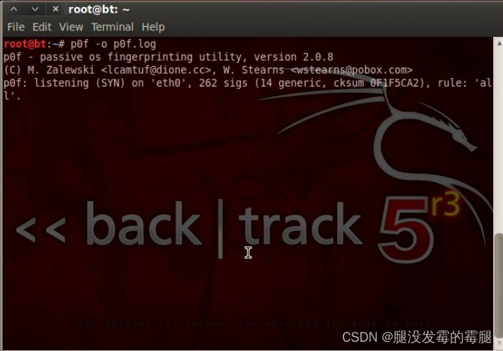 主机系统识别_p0f-CSDN博客