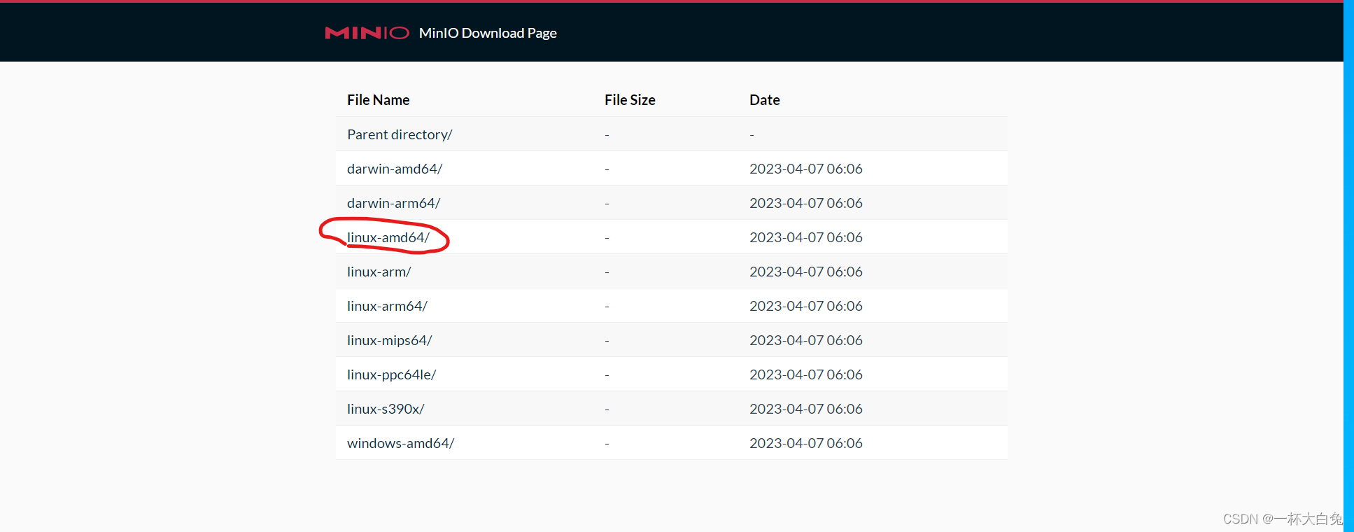MnIO的安装及简单使用（Linux）-CSDN博客