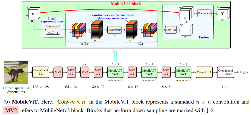 深度学习论文: MobileViT: Light-weight, General-purpose, and Mobile-friendly Vision Transformer及其 ...