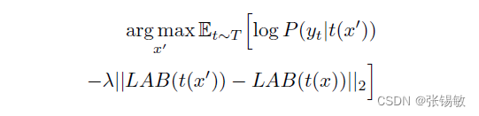 论文阅读-Synthesizing Robust Adversarial Examples（EOT）-CSDN博客