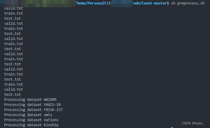 (小白易懂)知识图谱嵌入论文复现：ConvE代码调试记录-CSDN博客
