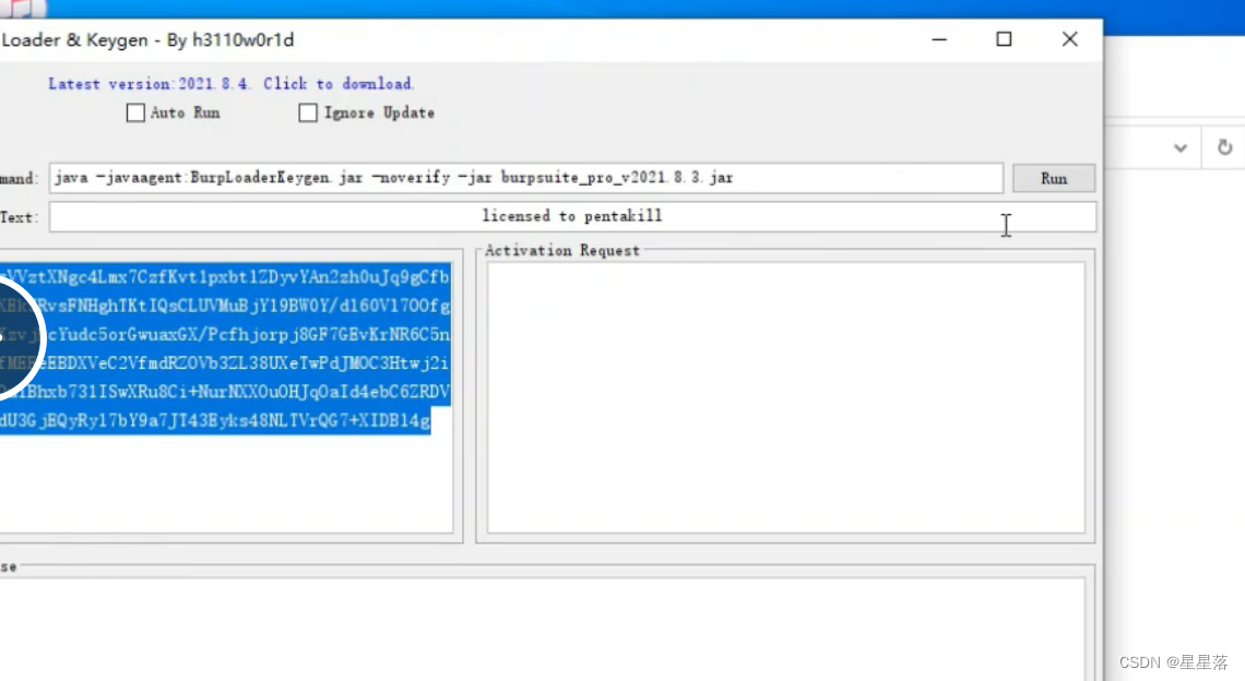 下载burp_burp下载-CSDN博客