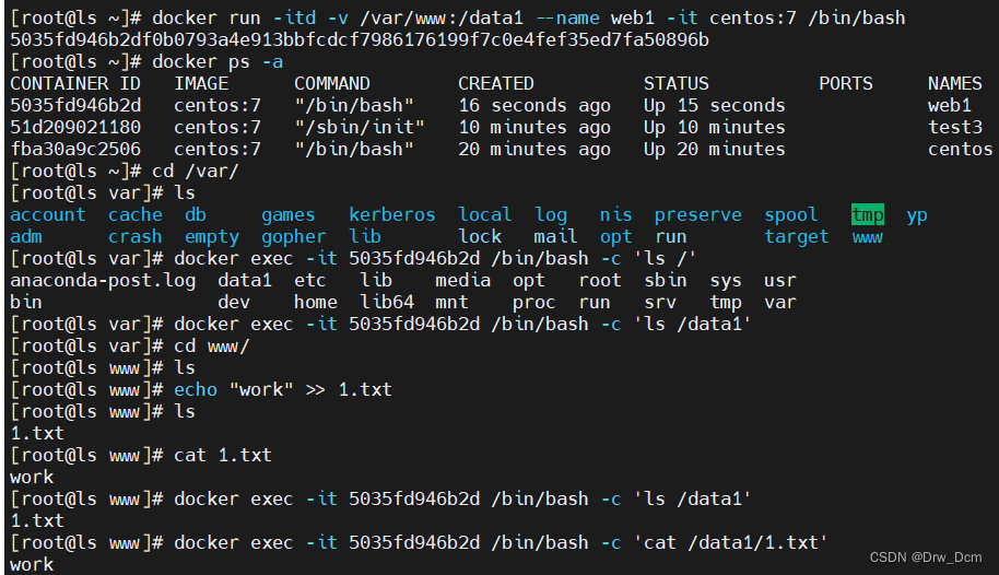 docker网络_docker 网络协议-CSDN博客