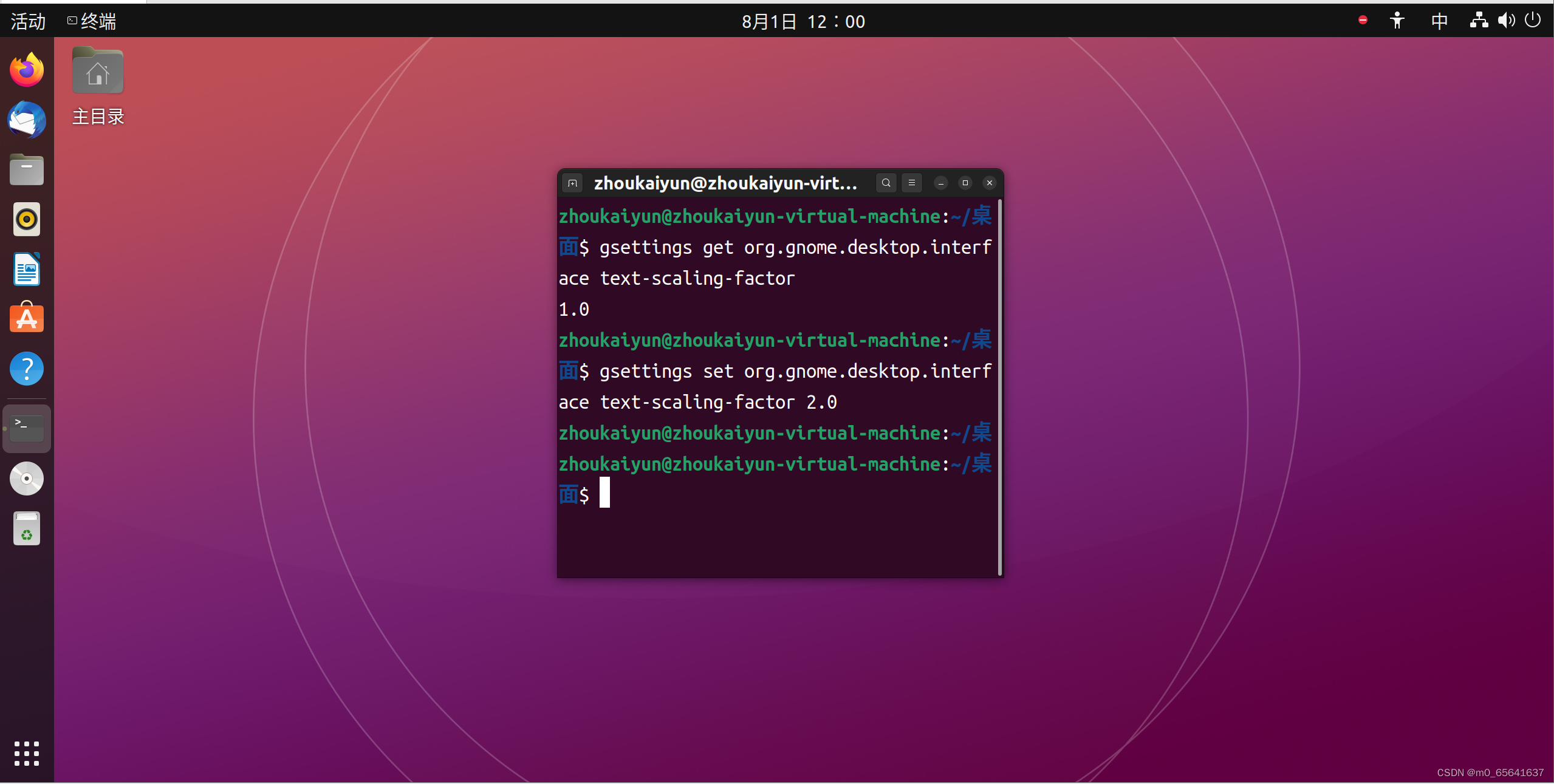 如何解决VMware中Ubuntu虚拟机字体太小的问题？_虚拟机ubuntu字体太小-CSDN博客