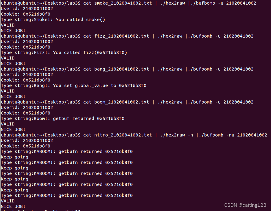 计算机系统基础实验：缓冲区溢出攻击如何使缓冲区溢出执行攻击代码 Csdn博客