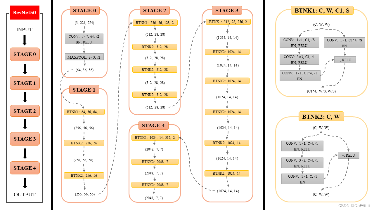 ResNet模型学习笔记_resnet 下采样-CSDN博客