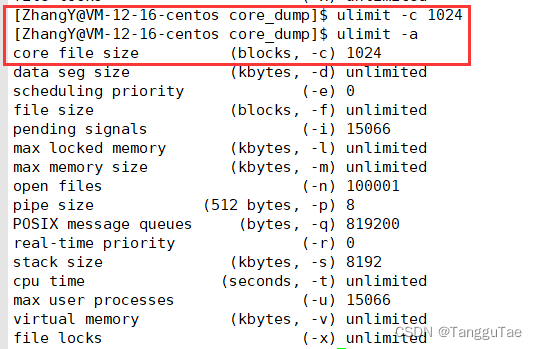 核心转储core dump_plc a core dump-CSDN博客